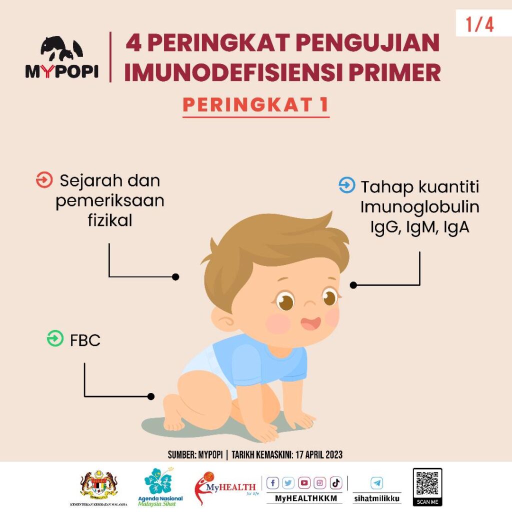 4 Stages of Testing for Primary Immunodeficiency - MYPOPI