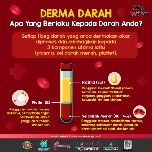 Donate Blood: What Will Happens To Your Blood? - MYPOPI
